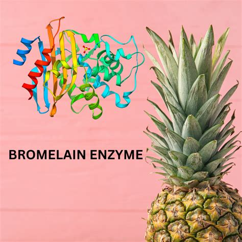 Industrial Enzymes Fungal Amylase Enzyme Manufacturer From Bhiwandi