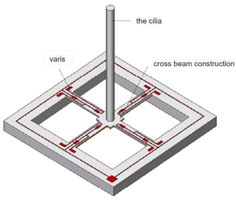 Denoising Of Mems Vector Hydrophone Signal Based On Empirical Model