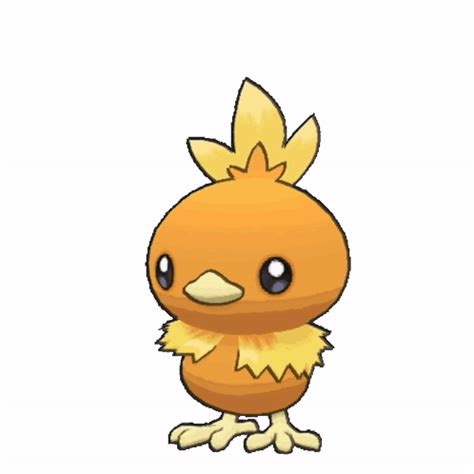 Torchic Pokemon Sticker Torchic Pokemon Descubre Y Comparte 