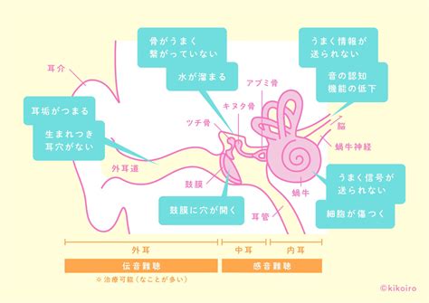 耳聞こえの仕組み きこいろ 片耳難聴の情報コミュニティサイト