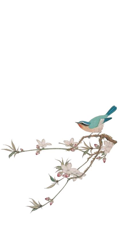 古风中式花卉免抠素材png 高清图片，堆糖，美图壁纸兴趣社区