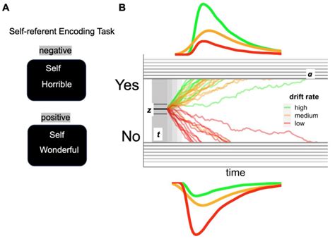 The Self Referent Encoding Task And Drift Diffusion Model DDM A In