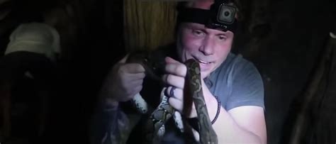 Famous Reptile Influencer Brian Barczyk Dead Days After Posting