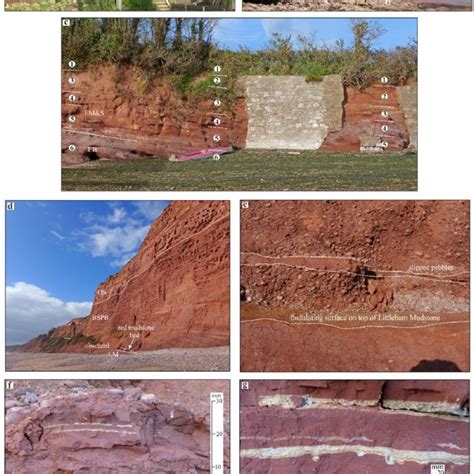 The Presumed Ages Of The Formations Adjacent To The Permo Triassic