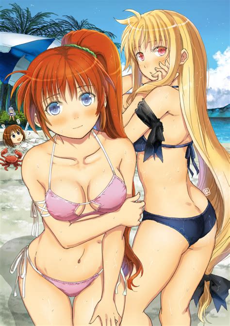 Garimpeiro Fate Testarossa Reinforce Zwei Takamachi Nanoha Yagami