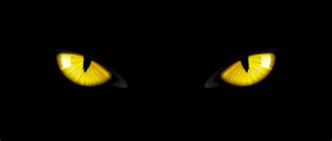 Halloween Cat Glowing Yellow Eyes In Sorceress Hat