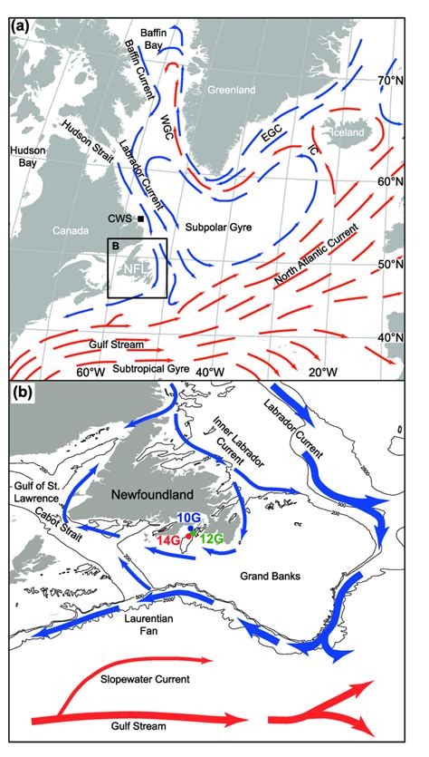 A Map Showing The Major Surfacesubsurface Currents In The North