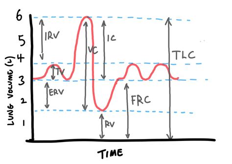 Lung Volumes And Frc Stronger Medicine