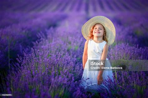 5 년 여 자가 흰색 드레스와 모자를 입은 라벤더 밭에 서 있습니다 귀여운 얼굴과 골드 헤어 라벤더 부케와 미소를 들고 아기에 대한 스톡 사진 및 기타 이미지 Istock