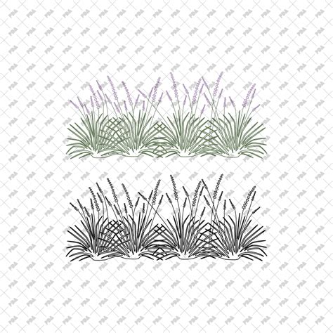 Cad Vector Grass Beds In Color And Bw