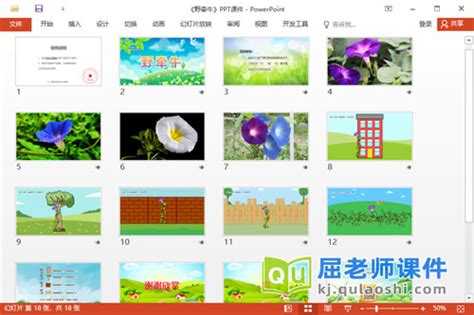 中班语言儿歌课件野牵牛教案PPT课件下载 屈老师课件网