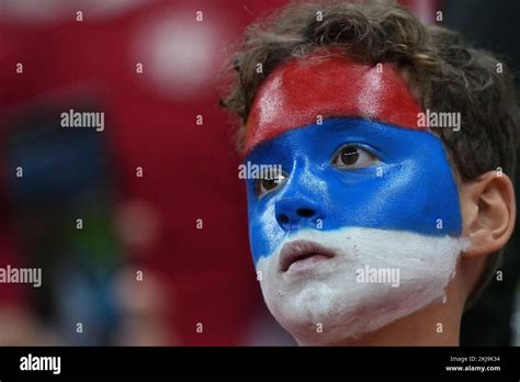 Serbia Fan During The Fifa World Cup Qatar 2022 Match Group G Between