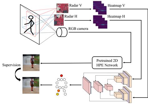 human pose estimation using millimeter wave radar
