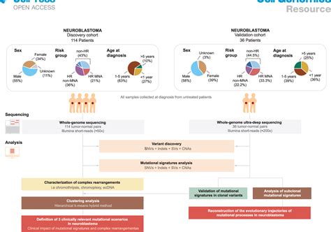 Figure 1 From Mutational Topography Reflects Clinical Neuroblastoma