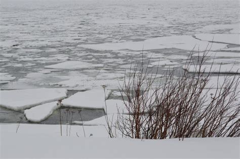 White Sea Kandalaksha Bay In April Stock Image Image Of Beautiful Snow 179374197