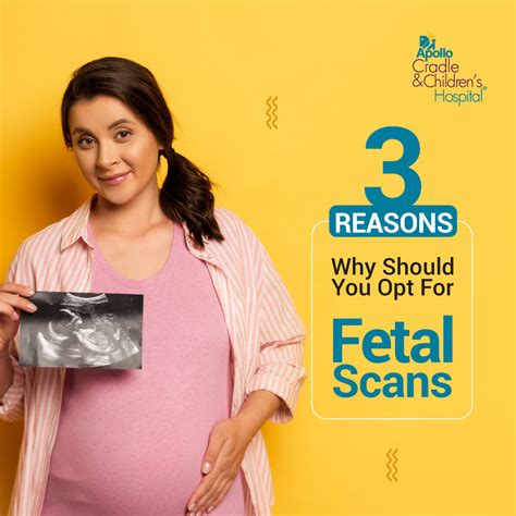 Apollo Cradle Here Are Three Common Reasons Why Women Facebook