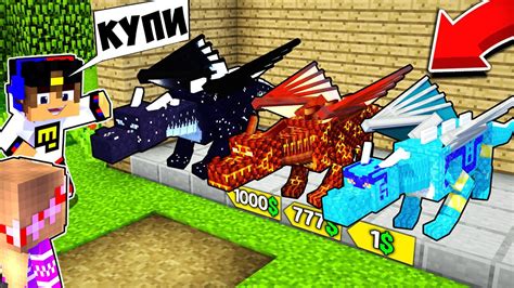 Майнкрафт но Девушка Как вырастить ЭНДЕР ДРАКОНА в Майнкрафт НУБ И ПРО ВИДЕО ТРОЛЛИНГ Minecraft