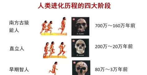 深度分析：人类真的起源于非洲吗？腾讯新闻