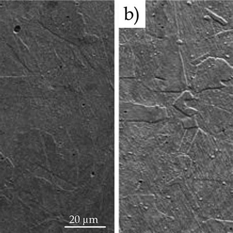 Microstructure Of The Annealed Pure Copper After Sse A 1st Pass 27 Download Scientific