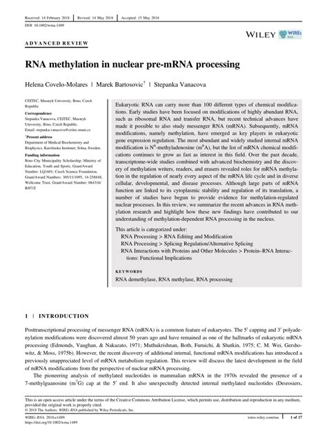 Pdf Rna Methylation In Nuclear Pre‐mrna Processing