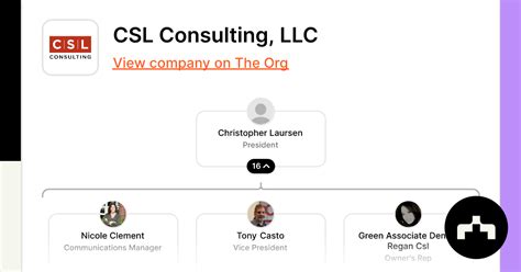 Csl Consulting Llc The Org