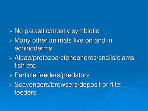 The Echinoderms Phylum Echinodermata Ppt Download