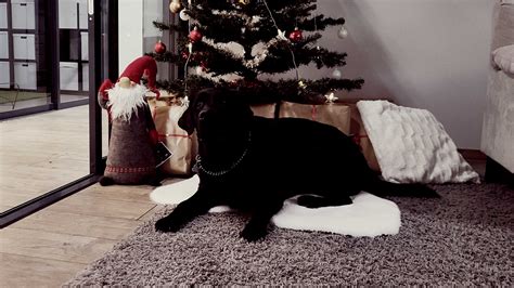 Hyvää Sinun Näköistäsi Joulua Katja Noponen Oy