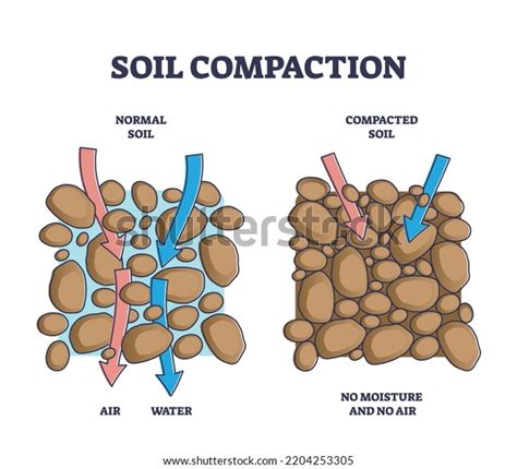 Soil Compaction Method Compared Normal Compacted Stock Vector Royalty