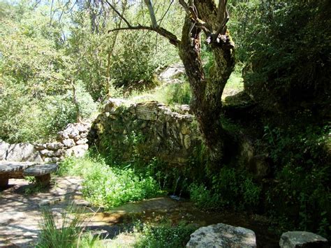 Fuente De La Tia Perra Cuenca Es Turismo