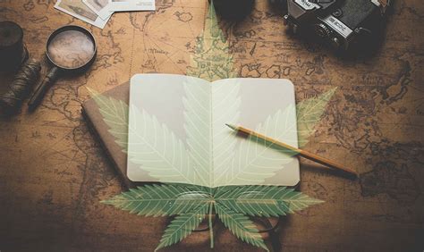 A Guide To Microdosing Cbd How And Why To Microdose