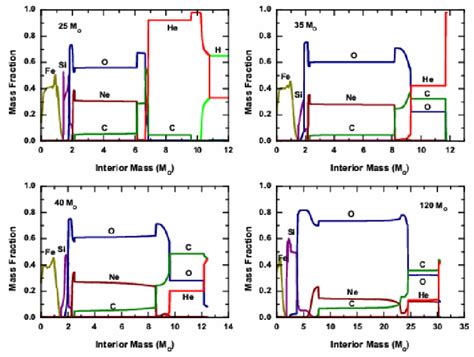 Presupernova Distribution Of The Most Abundant Chemical Species For A Download Scientific