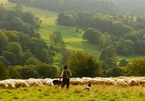 비타민c 세럼 효과 미백과 피부 재생에 좋은 성분 분석 Cert Pro