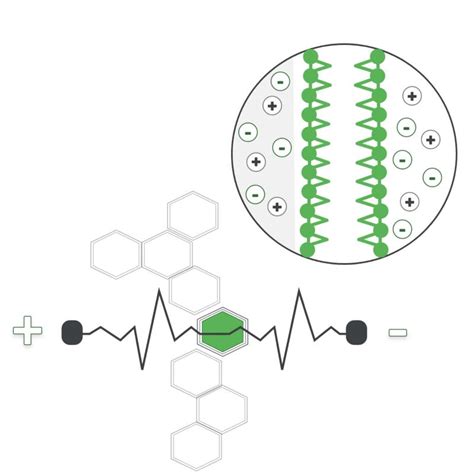 Whats Is Pulsed Electric Field Opticept Technologies Opticept
