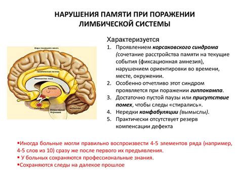 Память и ее нарушения презентация онлайн