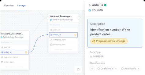 Snowflake Data Lineage Atlan