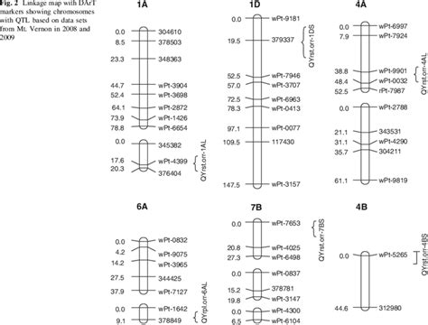 Linkage Map With Dart Markers Showing Chromosomes With Qtl Based On Download Scientific Diagram