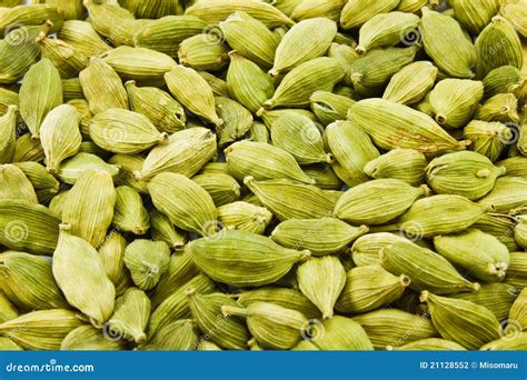Cardamom Spice Stock Photography Image 21128552