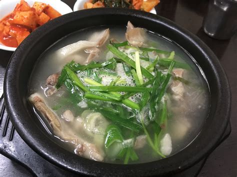 돼지국밥and닭곰탕and수육 자유갤러리 딜바다닷컴