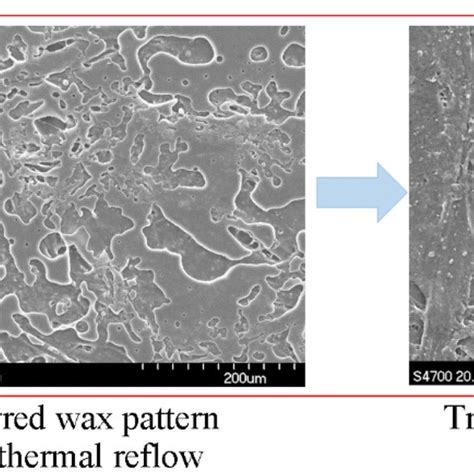 Mixing Test For The Fabricated Paper Based Microfluidics A Design Of