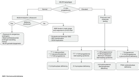 Management Guidelines For Disordersdifferent Sex Development Dsd