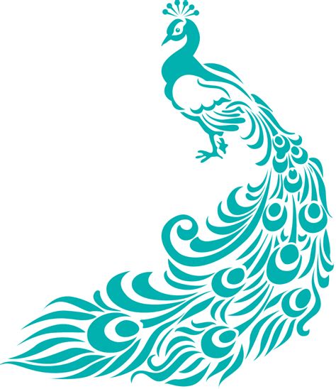 Simple Colorful Peacock Drawing