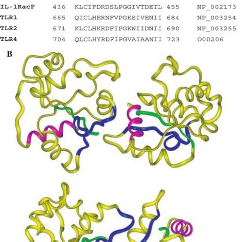 Amino Acid Sequence Alignment Of The Conserved Extended Loop In The Tir Download Scientific