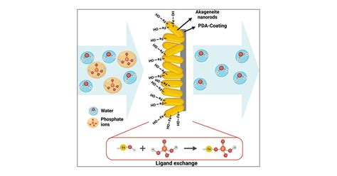 Polydopamine Coated Adsorptive Ultrafiltration Membrane With In Situ