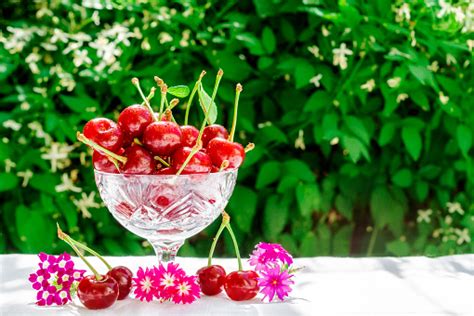 흐린 꽃의 녹색 자연 배경에 흰색 천과 꽃의 장식 테이블에 크리스탈 그릇에 신선한 체리 건강 식품의 개념 비타민 C 텍스트에 대 한 공간을 복사 0명에 대한 스톡 사진 및