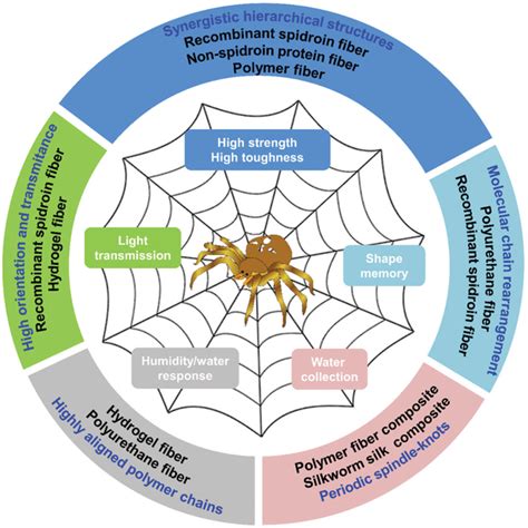 Properties Of Spider Silk And The Inspired Artificial Fibers The Download Scientific Diagram