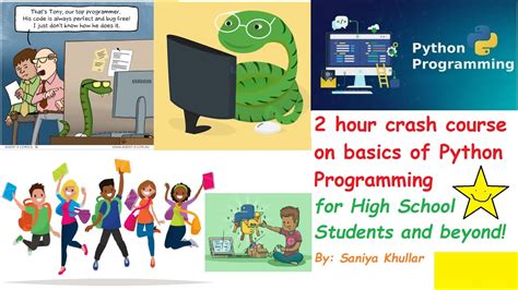 Python Language Comic