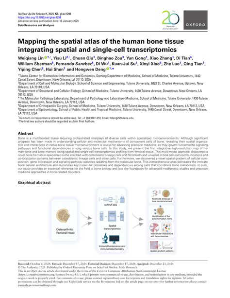 Pdf Mapping The Spatial Atlas Of The Human Bone Tissue Integrating