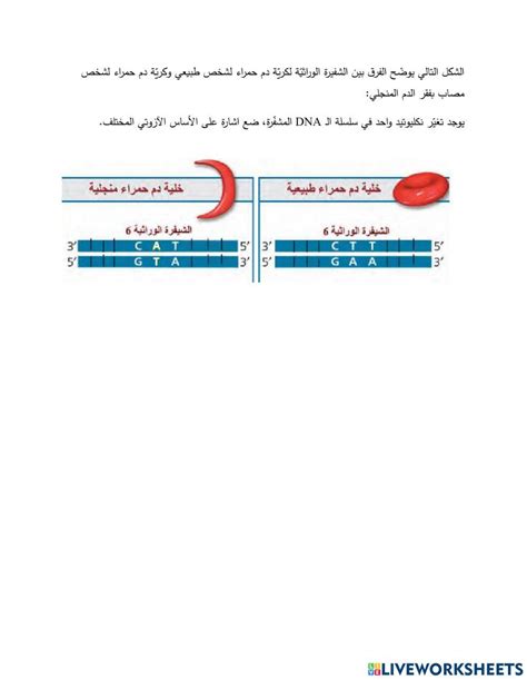 فقر الدم المنجلي Online Exercise For Live Worksheets