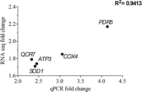 Transcriptomic Analysis Of Nonylphenol Effect On Saccharomyces Cerevisiae Peerj