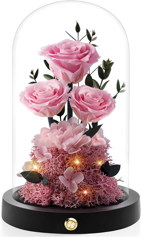 Agrul Mothers Day Flowers Rose Ts For Mom Preserved Rose
